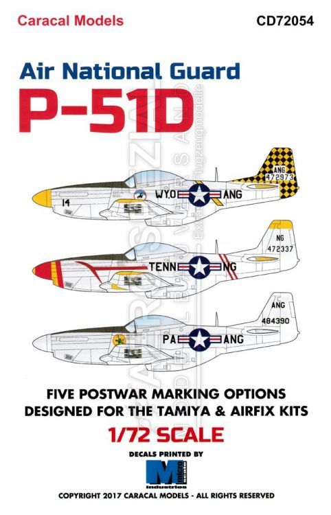 P-51D Mustang Air National Guard