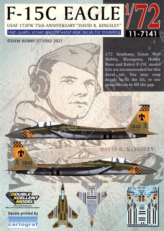 F-15C Eagle 75. Jahrestag David R. Kingsley